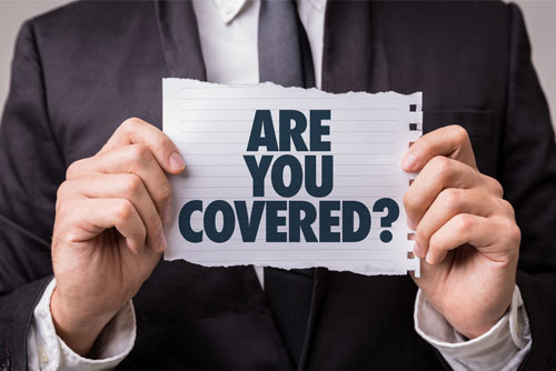 Staff of Ackerman Insurance | Naples & Palm Beach Gardens FL